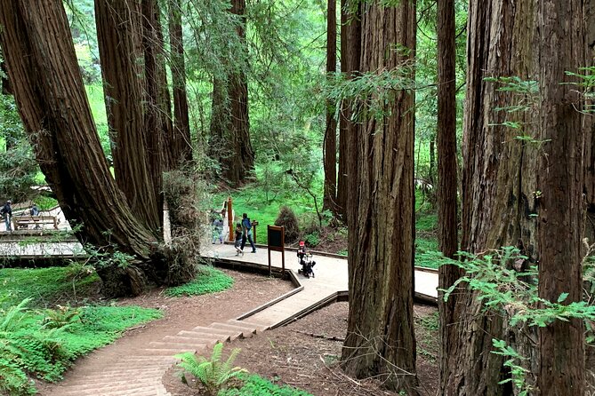 Muir Woods, Sausalito and Golden Gate Bridge - FAQs