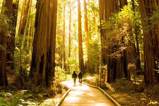 Muir Woods & Sausalito Tour + Hop-On Hop-Off Tour - The Hop-On Hop-Off City Tour: Flexibility and Freedom