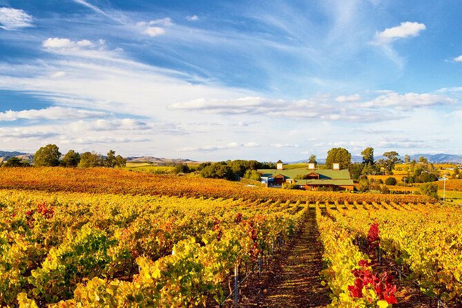 Muir Woods & Wine Tour: Redwoods & Tastings at 3 Wineries - Who Should Book This Tour?