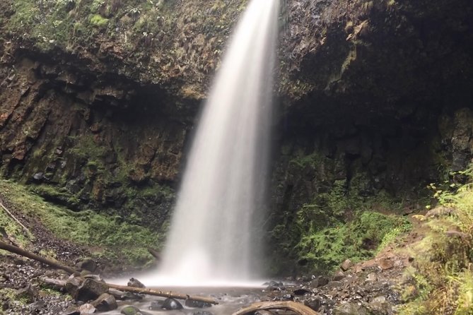 Multnomah Falls and Columbia River Gorge Half-Day Hiking Tour - A Complete Breakdown of the Tour Experience