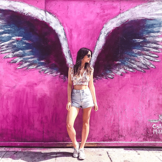 Must Have L.A. Pictures! - Who Is This Tour Best Suited For?