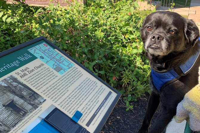 Mysteries on the Move: Scavenger Hunt in Boston - Who Should Consider This Experience?