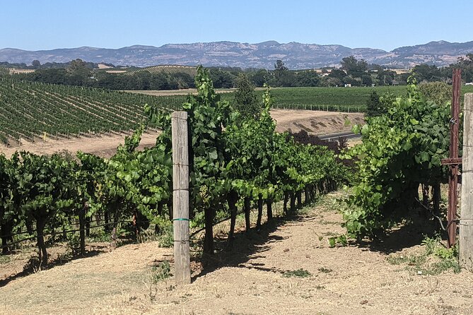 Napa and Sonoma Valley Wine 6 hour Tour from San Francisco - Who Will Love This Tour?