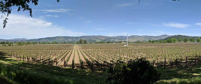 Napa and Sonoma Valley Wine 6 hour Tour from San Francisco - Final Thoughts