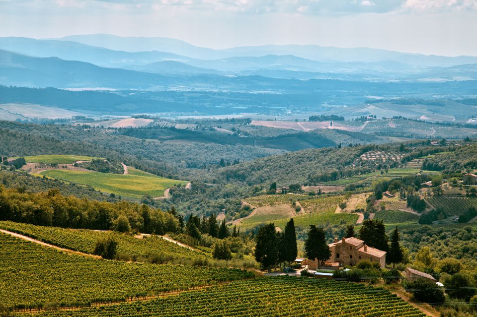 Napa Valley: Airplane Napa Valley Tour - The Sum Up: Is This Tour Worth It?