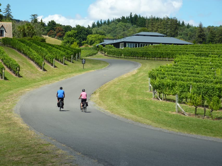 Napier: Cape Coast Winery Tour on Pedal or E-Bikes - An Authentic Hawke’s Bay Experience