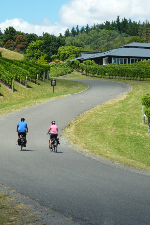 Napier: Cape Coast Winery Tour on Pedal or E-Bikes - The Sum Up