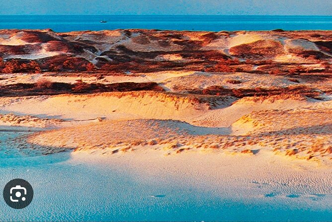 National Seashore Tour with Guided Hike