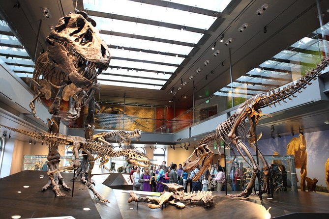 Natural History Museum of Los Angeles County Admission - An In-Depth Look at the Museum Experience