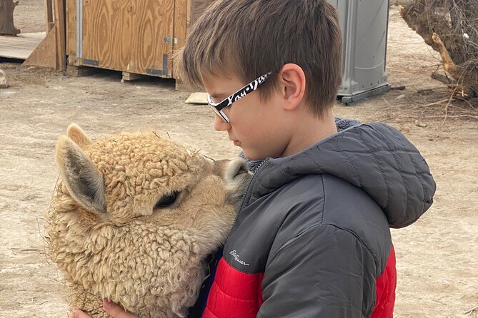 Nature Health Farms Alpaca Farm Petting Zoo Pahrump Death Valley - The Bottom Line: Who Benefits Most