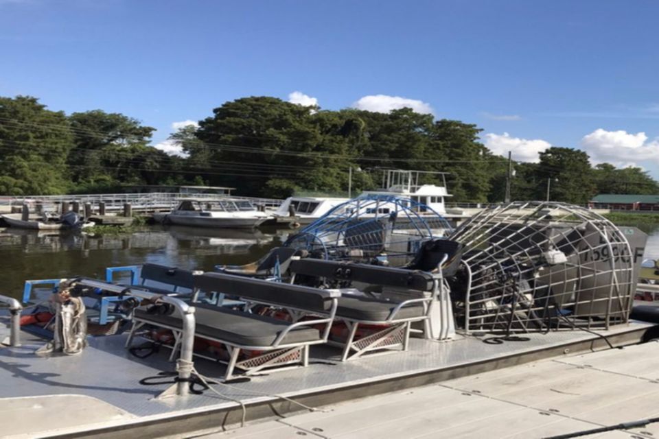 New Orleans: Airboat or Pontoon Boat Cruise with Transfers - Exploring the Louisiana Swamps: An In-Depth Review of the New Orleans Airboat and Pontoon Boat Tour