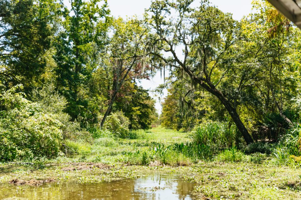 New Orleans: Bayou Tour in Jean Lafitte National Park - Why This Tour Works for Travelers