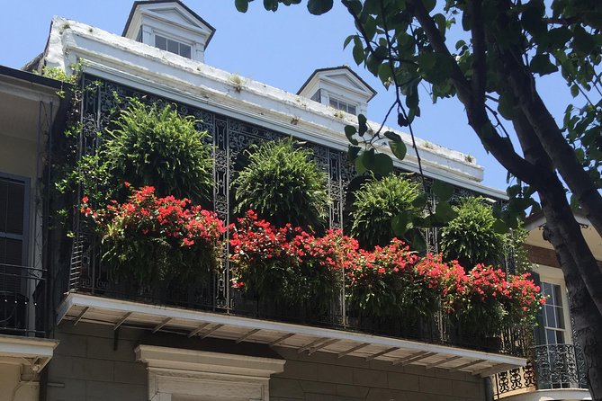 New Orleans French Quarter Architecture Walking Tour - Final Thoughts: Who Will Love This Tour?
