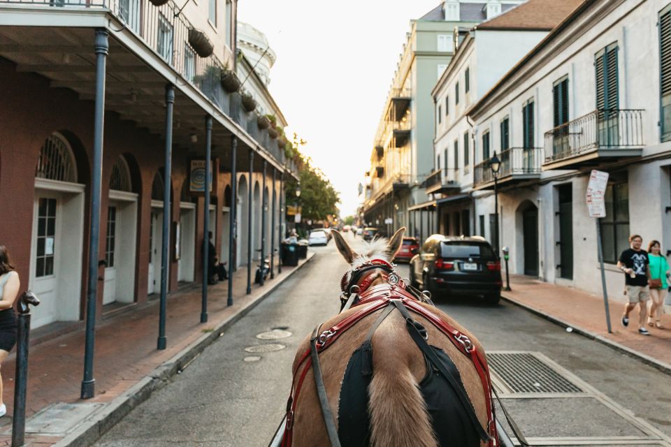 New Orleans: French Quarter Sightseeing Carriage Ride - Pricing and Value
