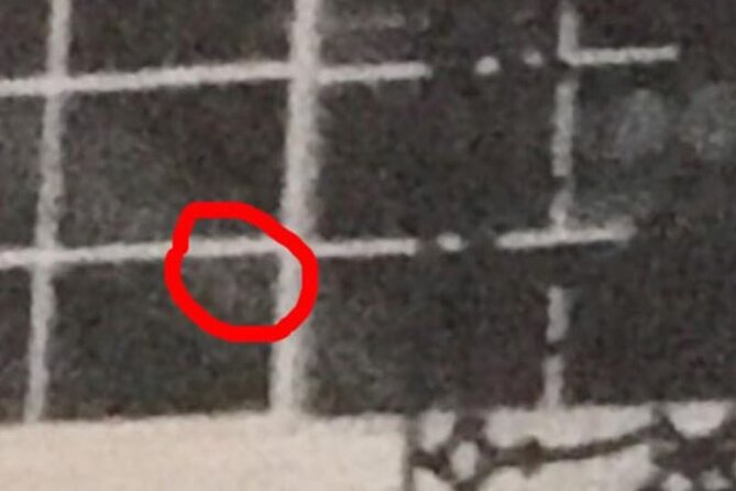 New Orleans Ghost Adventure with Real Paranormal Equipment - Frequently Asked Questions