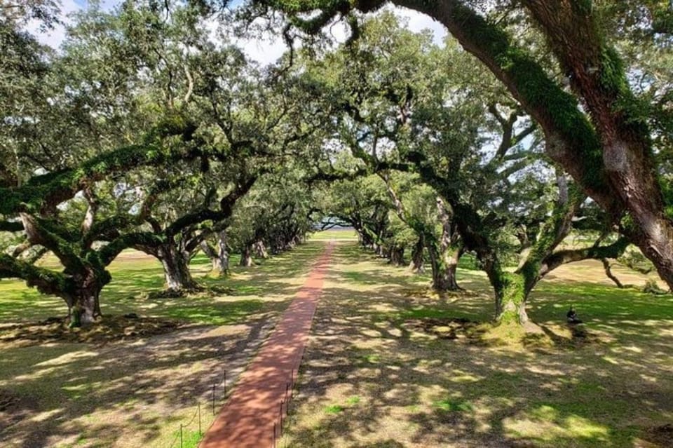 New Orleans: Oak Alley & Laura Plantation Tour w/Transport - In-Depth Look at the Tour Experience