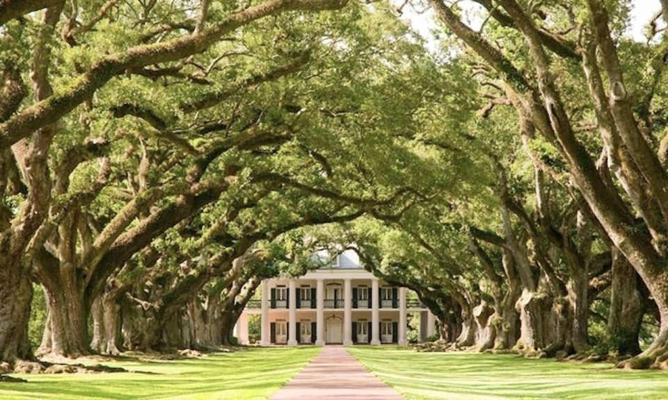 New Orleans: Oak Alley or Laura Plantation & Airboat Tour - Discovering the Plantations: History and Charm