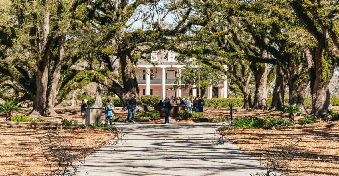 New Orleans: Oak Alley Plantation & Airboat Swamp Combo Tour - Key Points