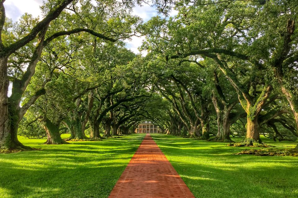 New Orleans: Oak Alley Plantation Tour with Transportation - What We Love About This Tour