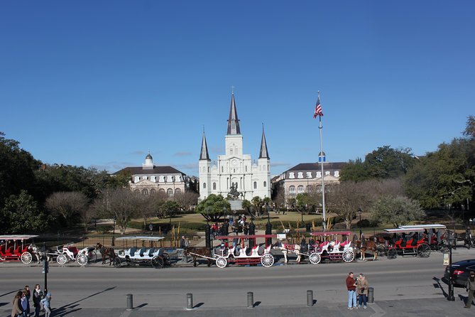 New Orleans Small-Group City and Cemetery Tour with Hotel Pickup - A Closer Look at the Tour Experience