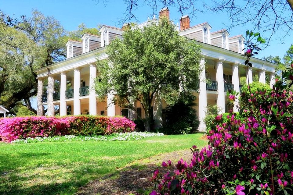 New Orleans: Swamp Boat Ride and Historic Plantation Tour - What Past Travelers Say