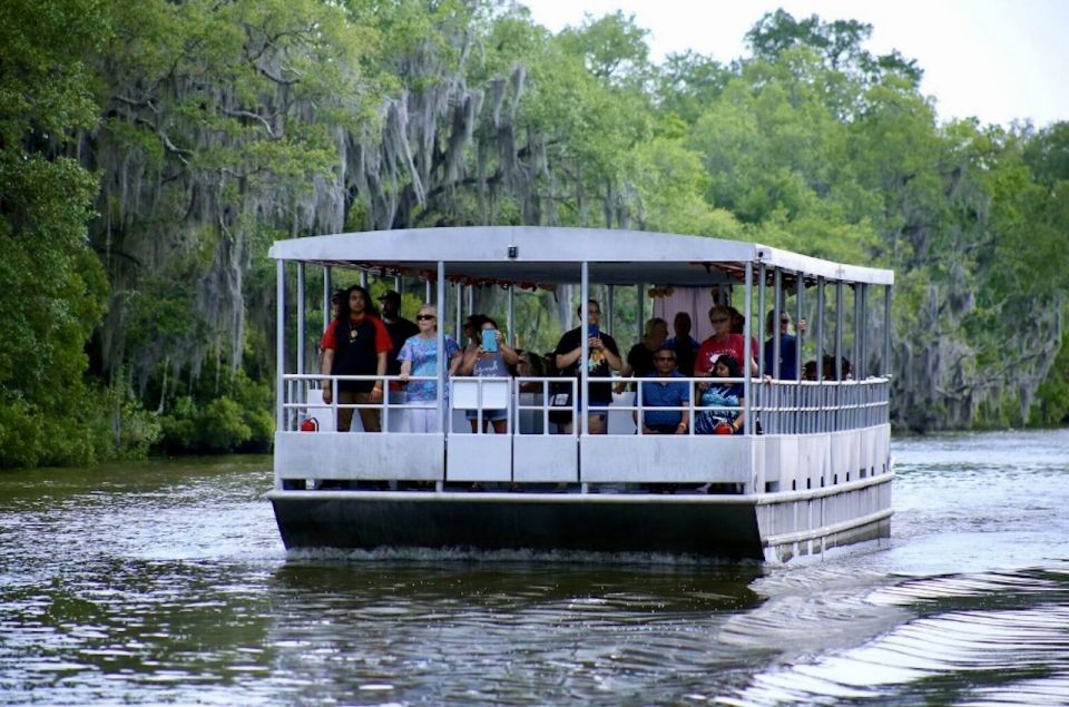 New Orleans: Swamp Tour on Covered Pontoon Boat - Exploring the Louisiana Swamp: An Honest Review of the Covered Pontoon Boat Tour