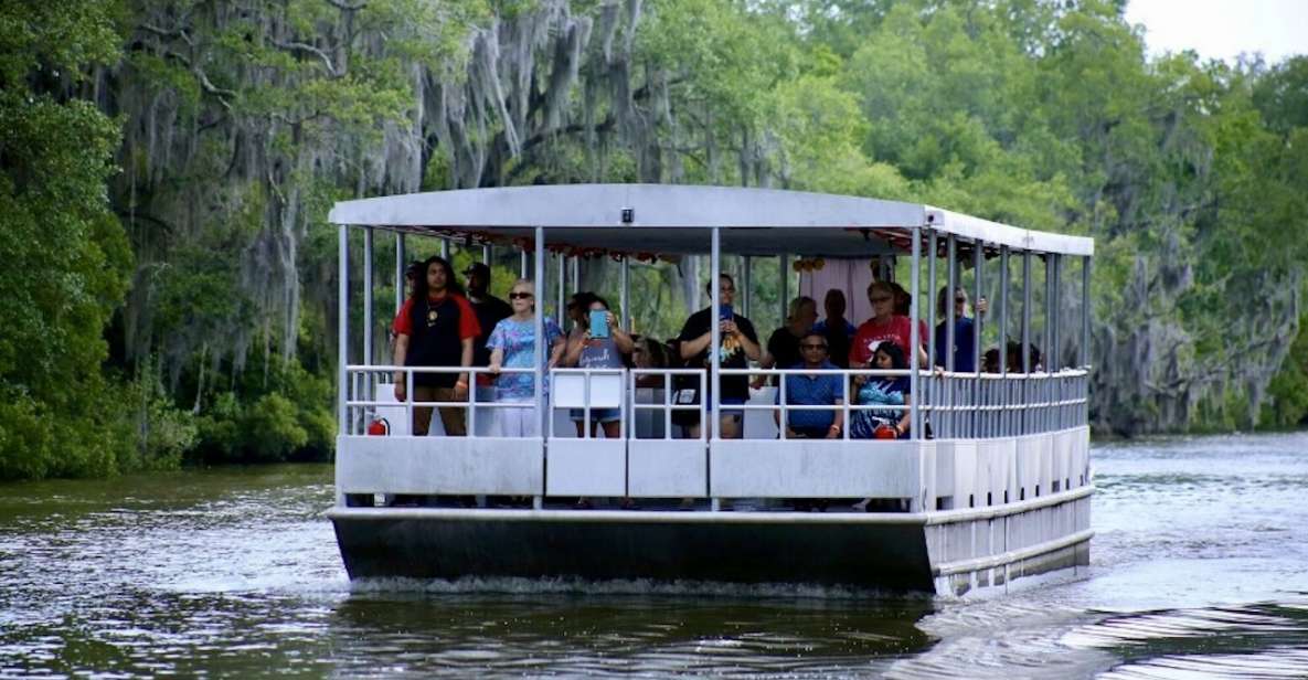 New Orleans: Swamp Tour on Covered Pontoon Boat - What We Think – The Real Value for Travelers