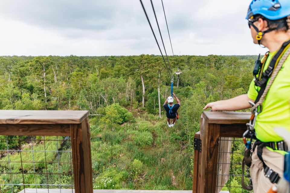 New Orleans: Swamp Zipline Tour - The Itinerary: What to Expect from Start to Finish