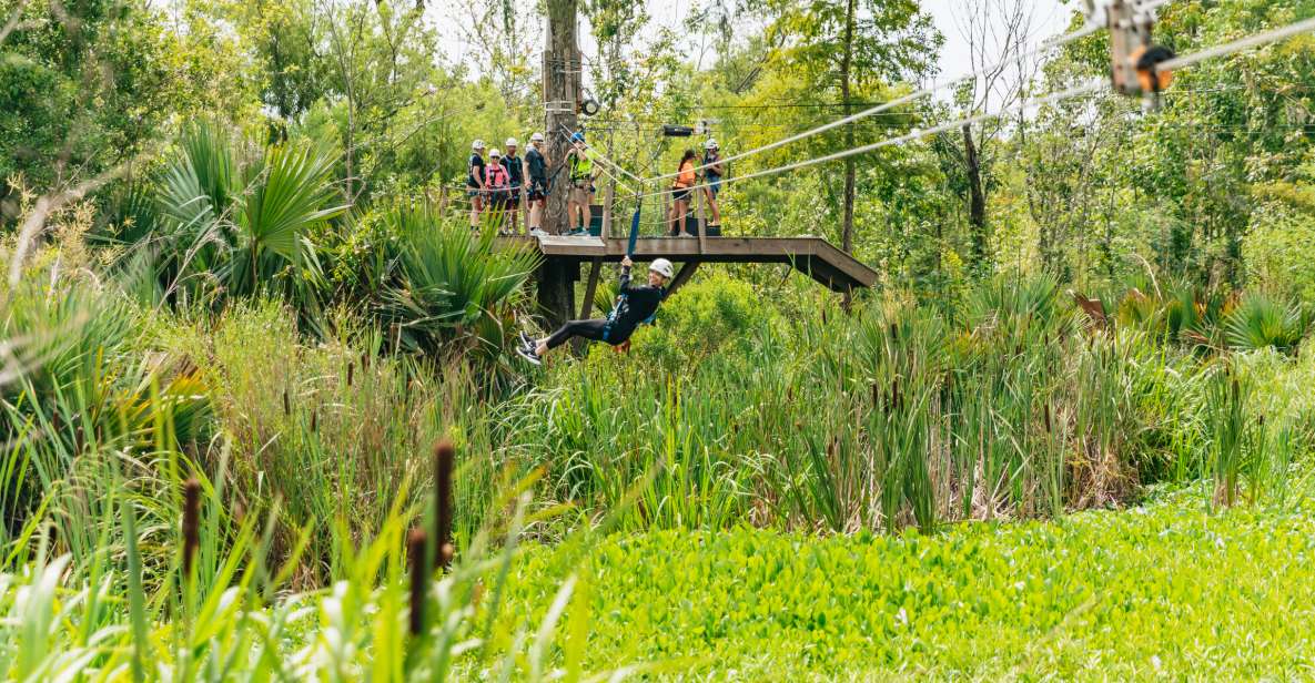 New Orleans: Swamp Zipline Tour - Price and Value Analysis