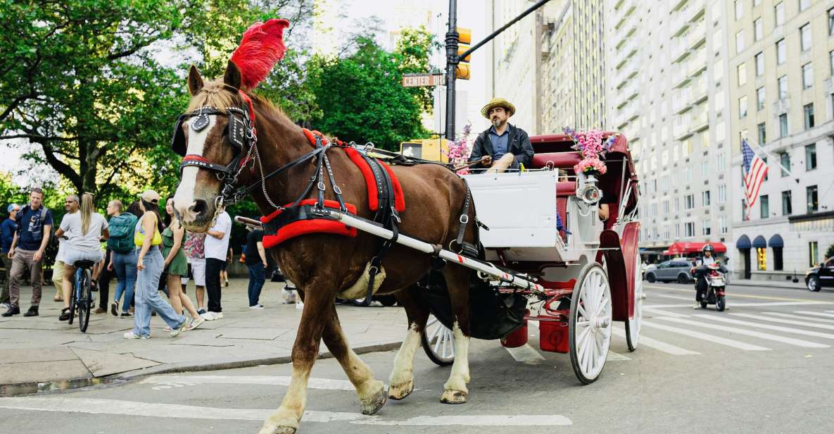 New York City: Central Park Private Horse and Carriage Tour - Key Points