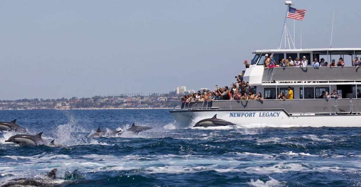 Newport Beach: Whale and Dolphin-Watching Cruise