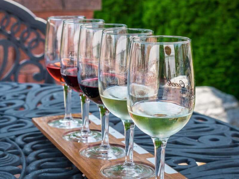 Niagara Falls: Public Niagara Wine Tour with Transportation - An In-Depth Look at the Niagara Wine Tour Experience