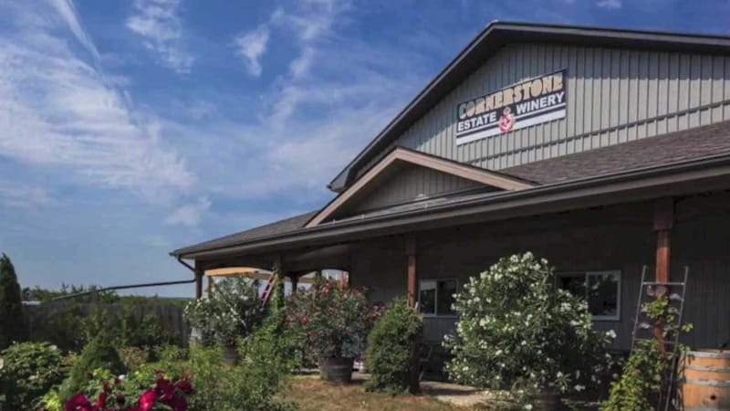 Niagara Falls: Public Niagara Wine Tour with Transportation - FAQ: Your Practical Questions Answered