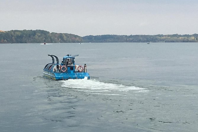 Niagara Falls Sightseeing tour of USA Side plus Jetboat - Who This Tour Is Best For