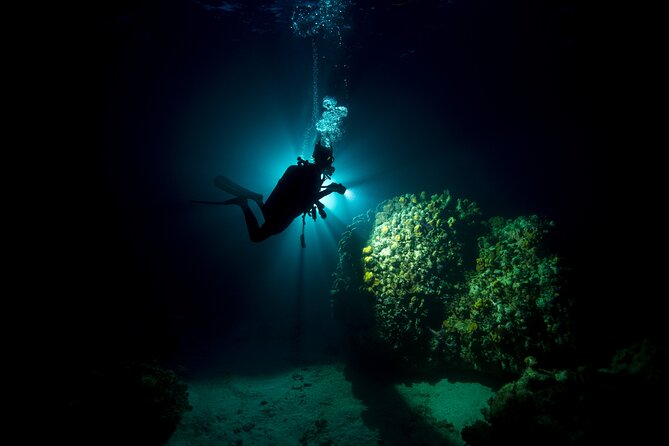 Night Dive Adventure in Oahu - Key Points