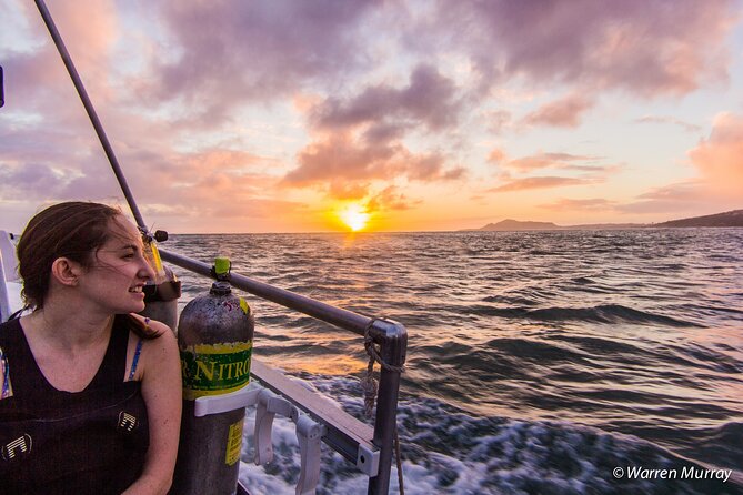 Night Dive Adventure in Oahu - What to Expect During the Tour