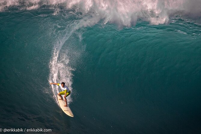 North Shore day,Waterfalls and Turtles Tour - Exploring the North Shore, Waterfalls, and Turtles Tour: A Thorough Review