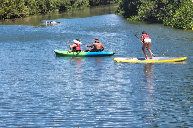 North Shore Direct with Dole Plantation & Haliewa Town - The Experience in Detail