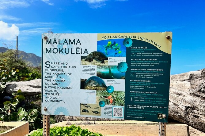 North Shore Dole Pineapple Farm Tour - Practical Details and Value