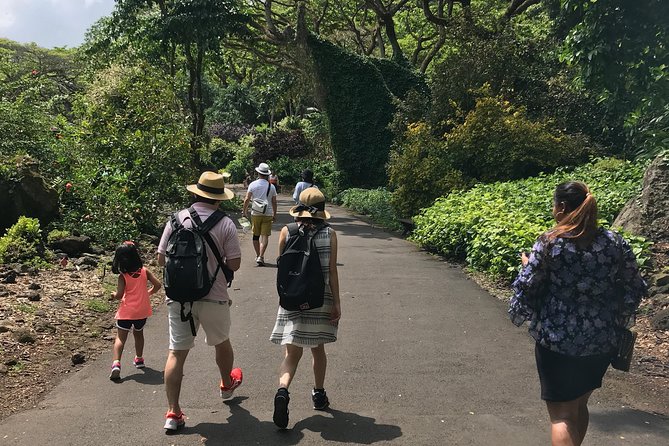 North Shore / Waimea, Falls Day & Swim with Turtles - An Honest Breakdown of the Tour Experience