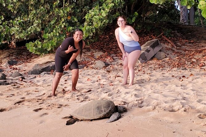 Northshore ocean adventure and circle islandJeep Tour- Guaranteed to see turtles - Who Would Love This Tour?