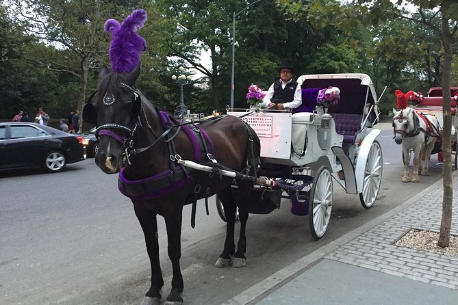 NYC Central Park Horse and Carriage Ride: Long Ride 45 min - Guides & Personal Touch