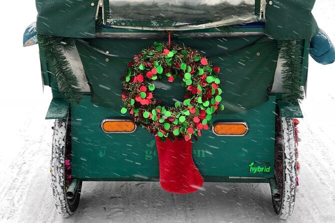 NYC Holiday Lights and Magic Pedicab Tour - Who Will Love This Tour?