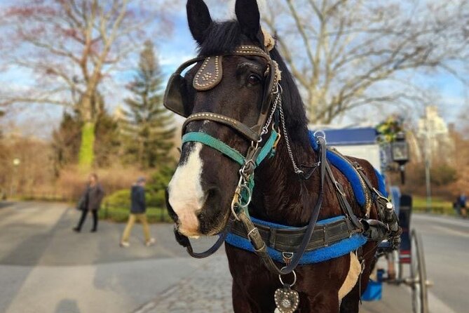 NYC Horse and Carriage Central Park Tours - FAQs
