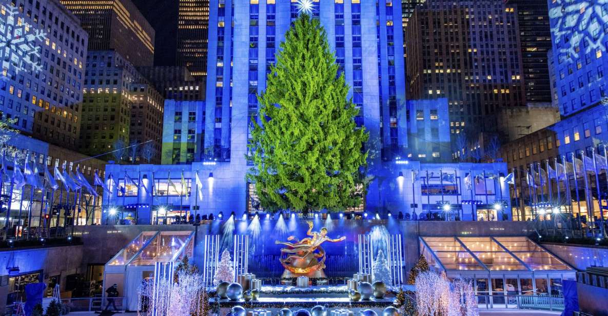 NYC: Magical Christmas Lights Carriage Ride (Up to 4 Adults)