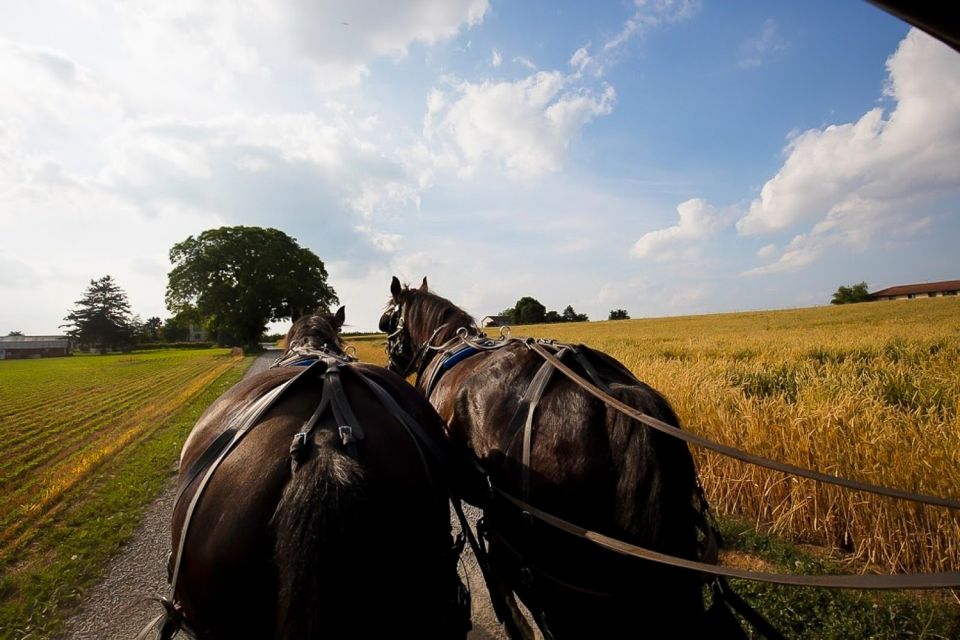 NYC: Philadelphia, Washington DC & Amish Country 2-Day Tour - The Complete Experience: What to Expect from This Tour