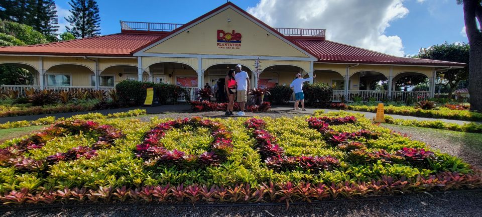 Oahu: 5 Hour Exclusive Car & Driver - ETOHI - Authentic Experiences Highlighted by Travelers