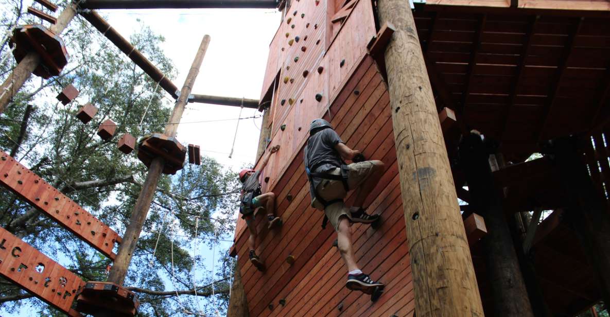 Oahu: Aerial Adventure, Climbing, & Freefall Experience - What You Need to Know Before Booking