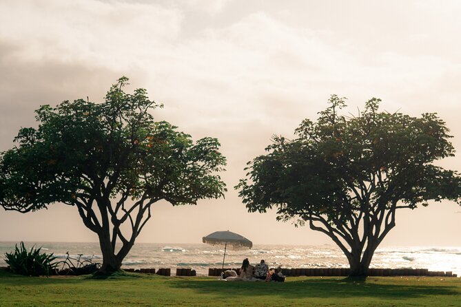 Oahu Beach Picnic: Private, Luxury Experience - The Details of the Experience
