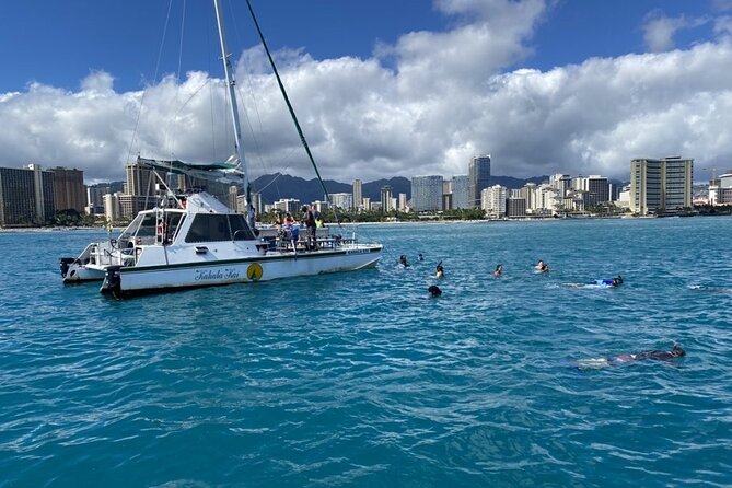 Oahu Catamaran Snorkel Tour: See Turtles 100% Guaranteed